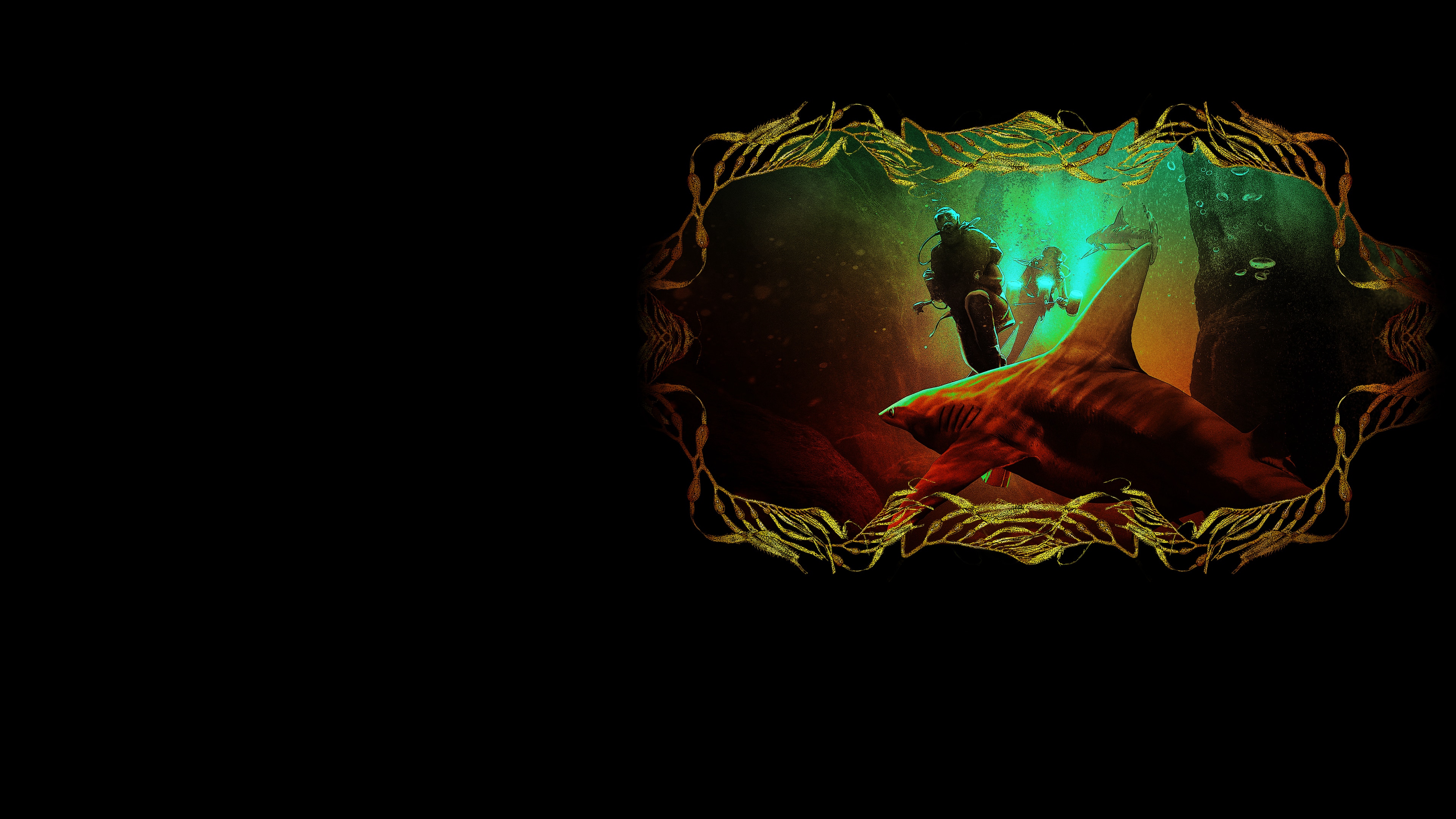 Ver Shark Week: buscando al tiburón perdido | HBO Max