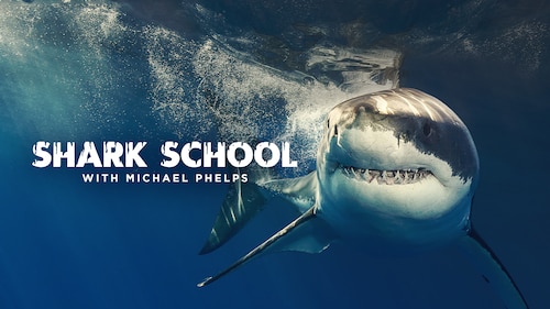 Watch Shark School With Michael Phelps | discovery+