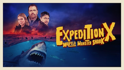 Watch Expedition X: Malpelo Monster Shark | discovery+