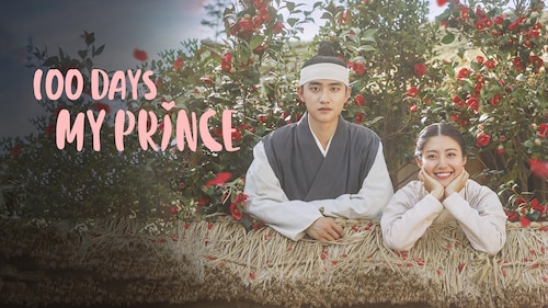 Watch 100 Days My Prince | Max