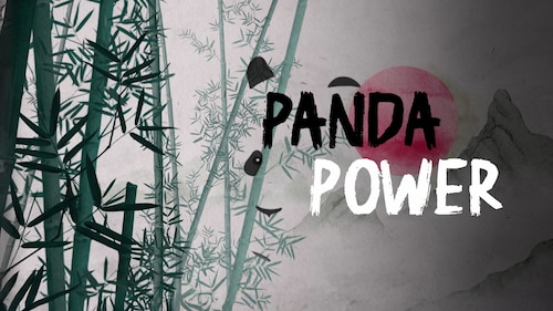 Watch Panda Power - The Rise of Furry Diplomats | Season 1 Episode 1 ...