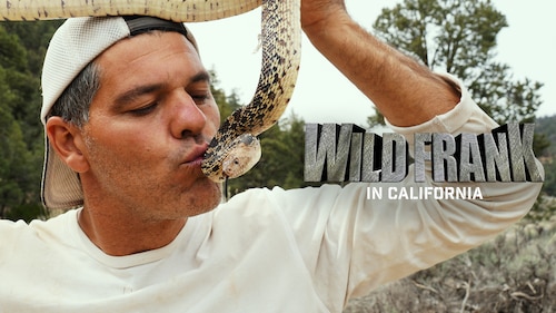 Disfruta Wild Frank en California | Max