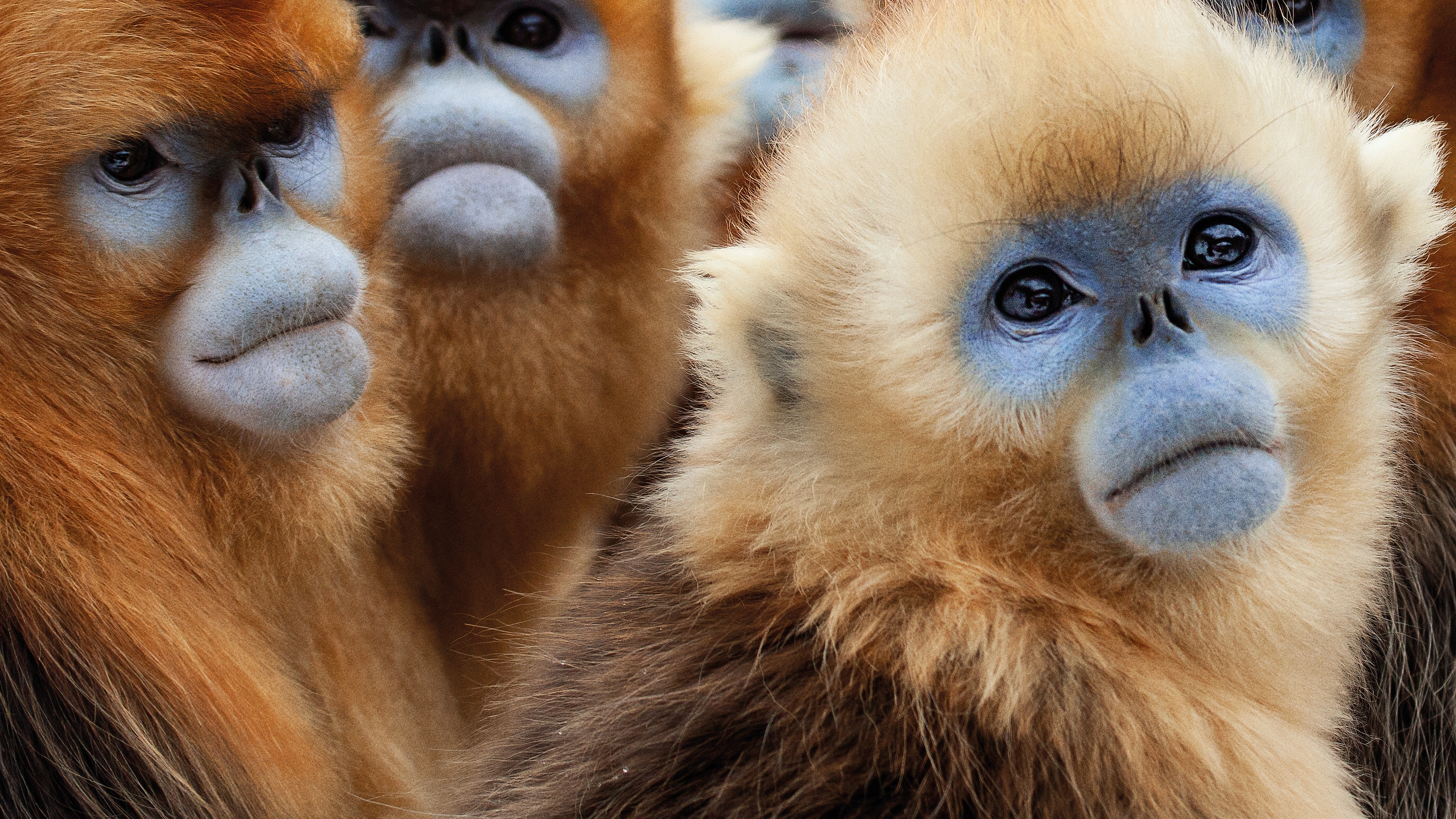 Watch Seven Worlds, One Planet | HBO Max