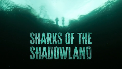 Watch Sharks Of The Shadowlands | HBO Max