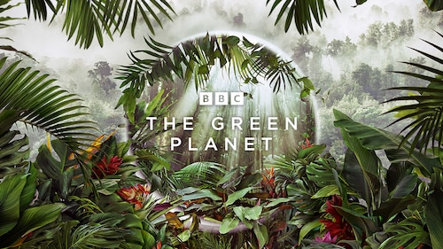 Watch The Green Planet | discovery+