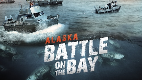 Watch Alaska: Battle on the Bay | discovery+