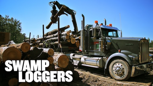 Watch Swamp Loggers | discovery+