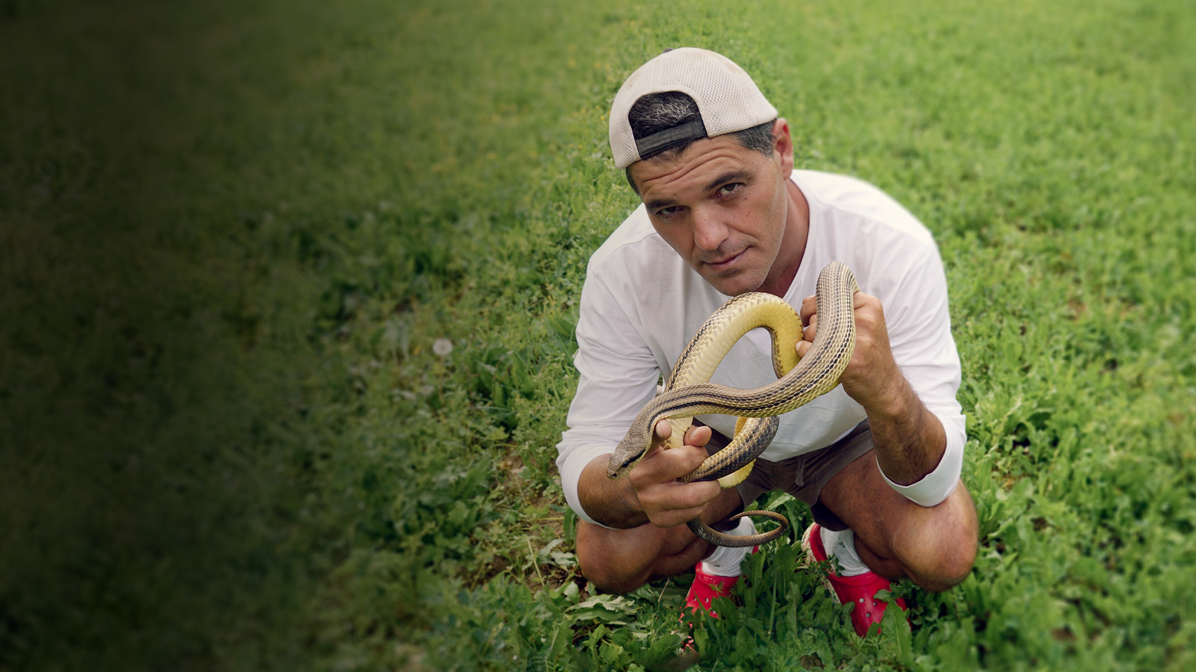 Watch Wild Frank and the Feast of Snakes | Max