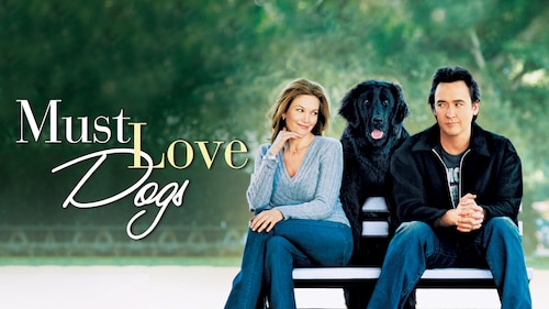 Watch Must Love Dogs (HBO) | Max