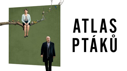 Pozerajte Atlas vtákov | HBO Max