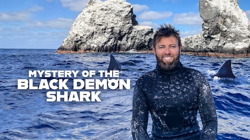 Watch Mystery of the Black Demon Shark | discovery+