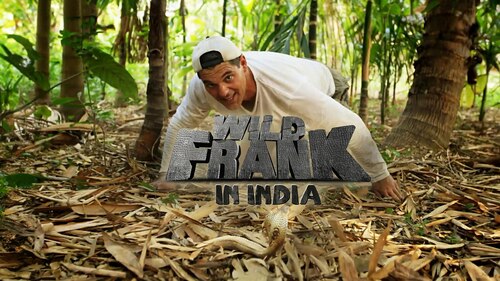 Watch Wild Frank in India | Season 1 Episode 4 | HBO Max