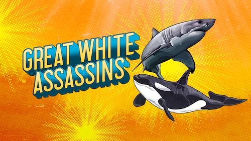 Watch Great White Assassins | HBO Max