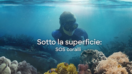 Watch Beneath the Surface: The Fight for Corals | Max