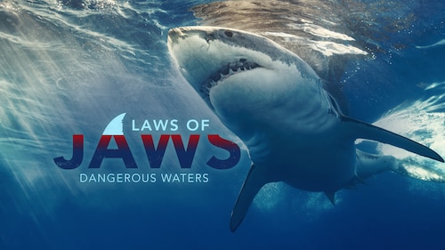Watch Laws of Jaws: Dangerous Waters | discovery+