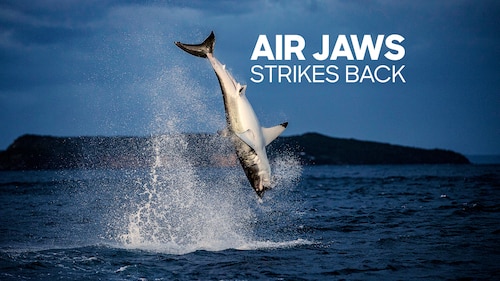 Watch Air Jaws Strikes Back | HBO Max