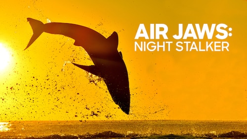 Watch Air Jaws Night Stalker Max