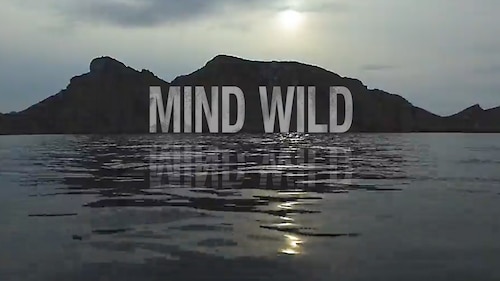 Watch Mind Wild | Max