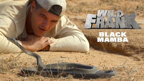 Regarder Wild Frank | Max