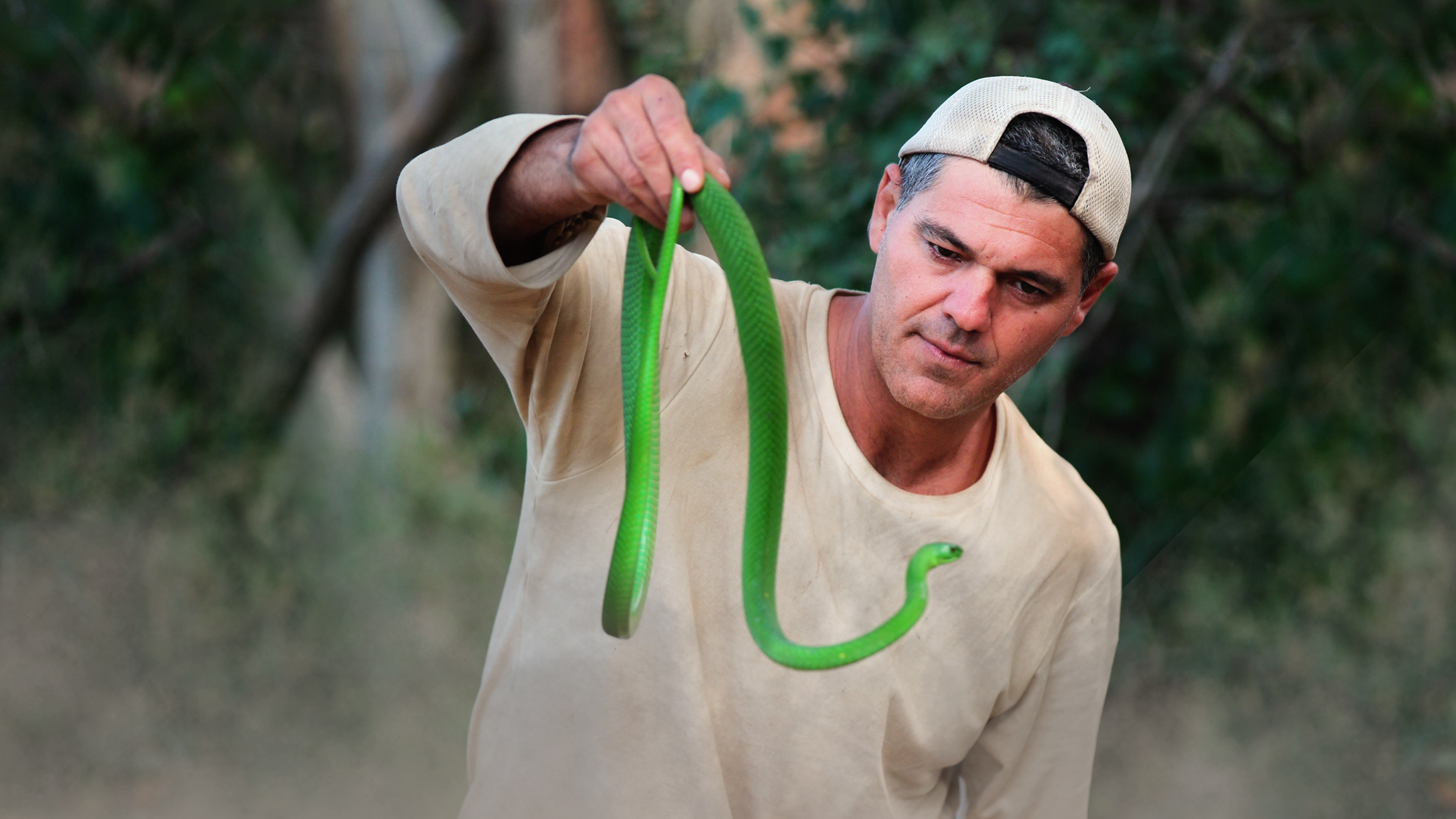 Watch Wild Frank and the Kiss of the Black Mamba | HBO Max