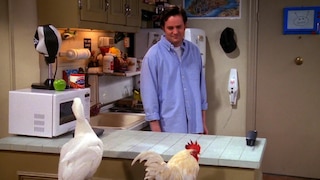 Watch Friends Season 6 | HBO Max