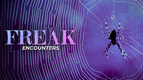 Watch Freak Encounters | discovery+