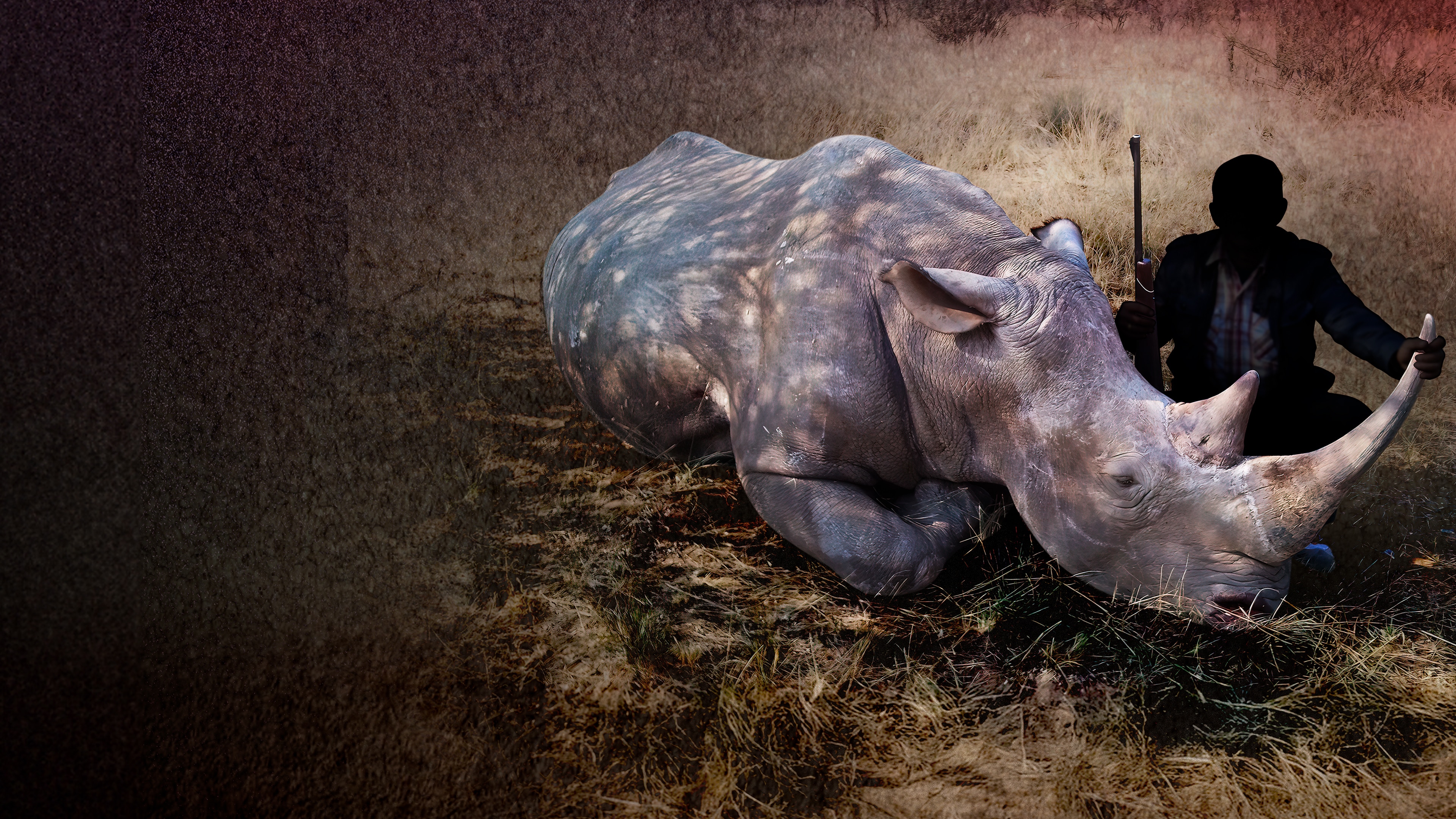 Ver Trofeo de Sangre | HBO Max