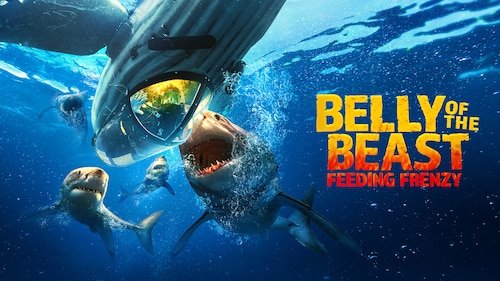 Watch Belly of the Beast: Feeding Frenzy | discovery+