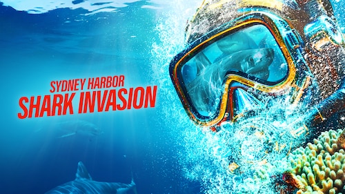 Watch Sydney Harbor Shark Invasion | HBO Max