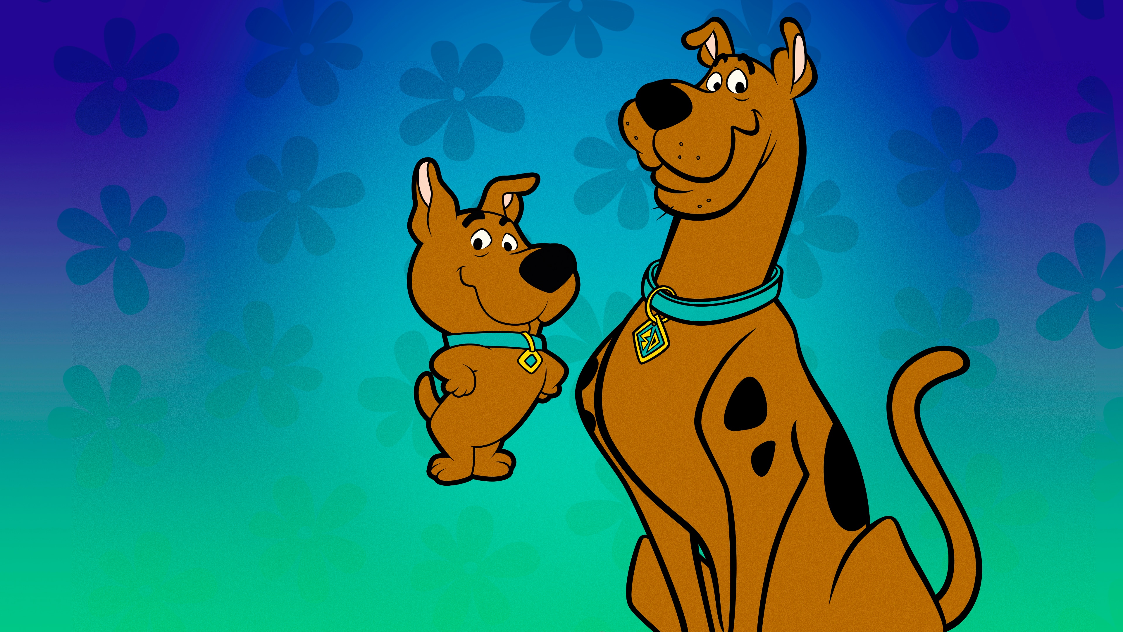 Watch Scooby Doo and Scrappy Doo Season 5 | Max
