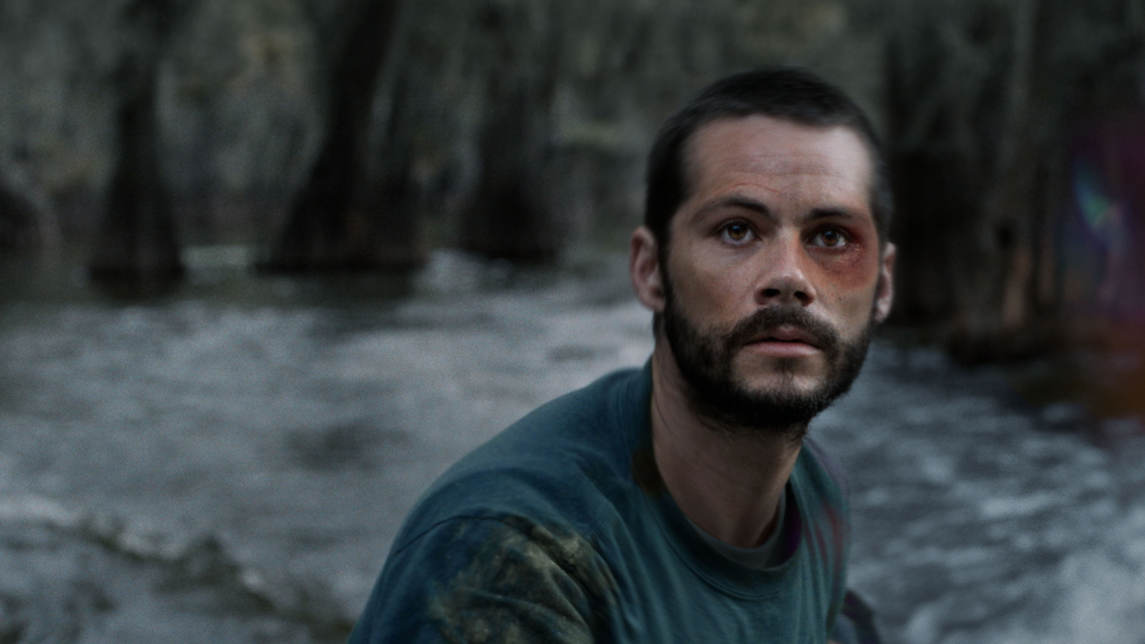 Ver Los Horrores de Caddo Lake | HBO Max