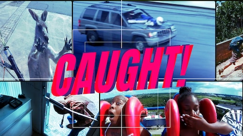 Watch Caught! | discovery+