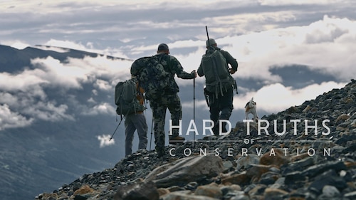 Watch Hard Truths of Conservation With Dan Cabela | discovery+