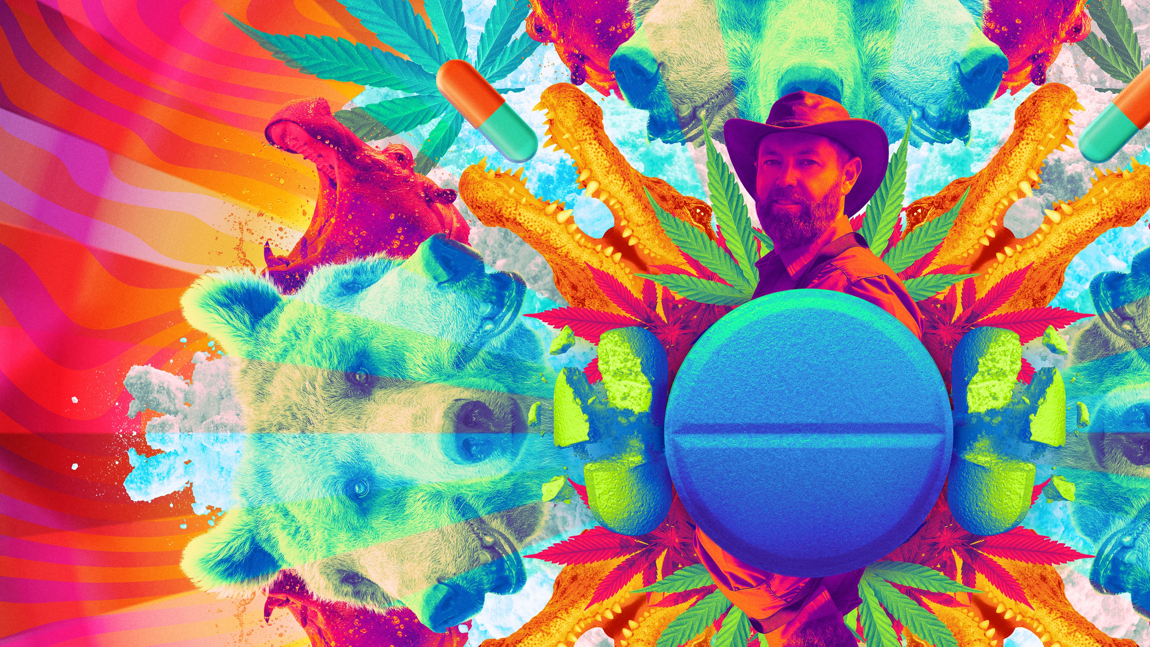 Watch Animals on Drugs | HBO Max