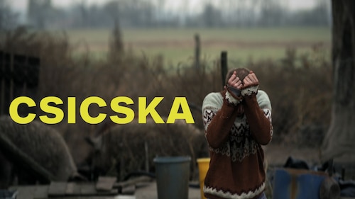 Nézd Csicska | Max