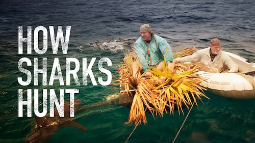 Vezi Rechini la vânătoare | HBO Max