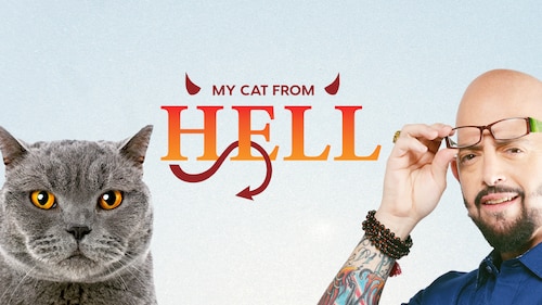 Watch My Cat From Hell Season 11 | Discovery Plus