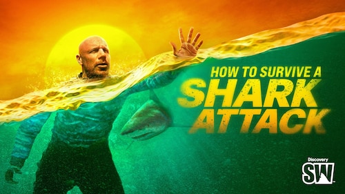 Watch How to Survive a Shark Attack | discovery+