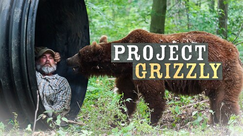 Watch Project Grizzly | discovery+