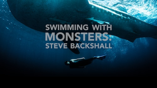 Watch Swimming with Monsters: Steve Backshall | discovery+