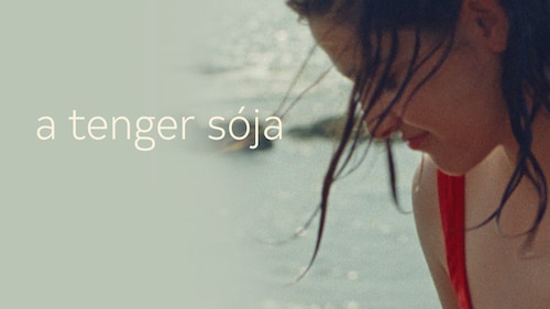 Nézd A tenger sója | Max