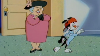 Ver Steven Spielberg Presents Animaniacs | HBO Max