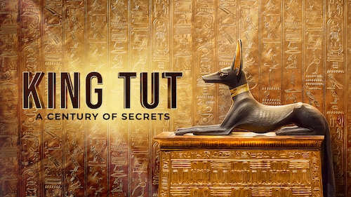 Watch King Tut: A Century of Secrets | discovery+