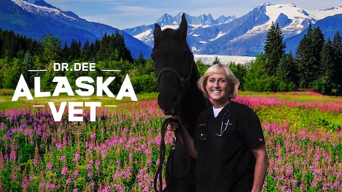 Kijk Dr. Dee: Alaska Vet | HBO Max
