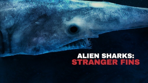 Watch Alien Sharks: Stranger Fins | Max