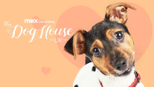 Watch The Dog House: UK | Season 7 Episode 1 | HBO Max