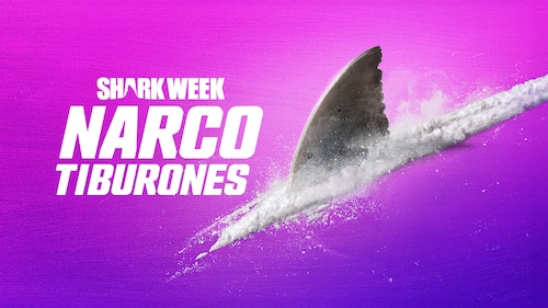 Ver Shark Week: narco tiburones | HBO Max
