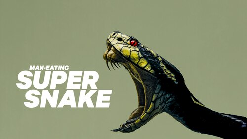 Watch Man-Eating Super Snake | discovery+