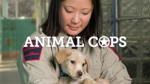 Watch Animal Cops Philadelphia | Season 1 Episode 9 | HBO Max