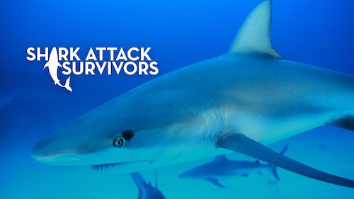Watch Shark Attack Survivors | discovery+